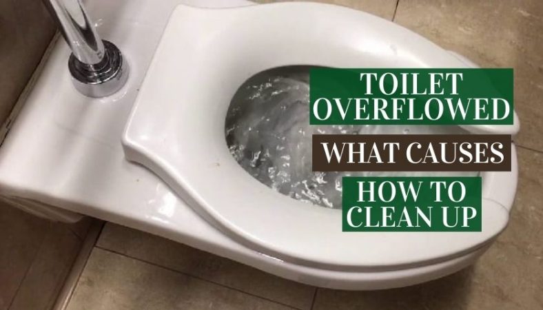 Toilet Overflowed | What Causes & How to Clean Up